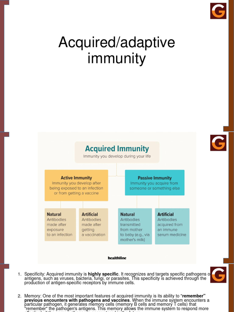 Acquired Imm and Infection - BPT | PDF | Immune System | Adaptive Immune System
