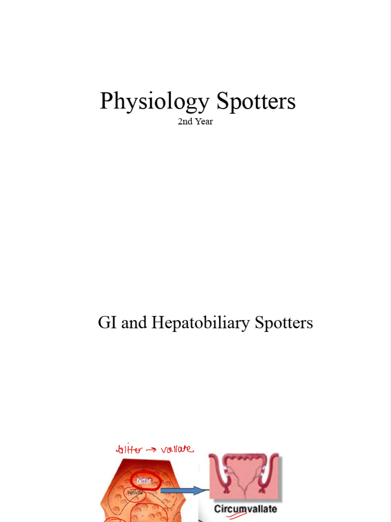 Physiology Spotters MBBS 191 | PDF | Thyroid | Thyroid Stimulating Hormone