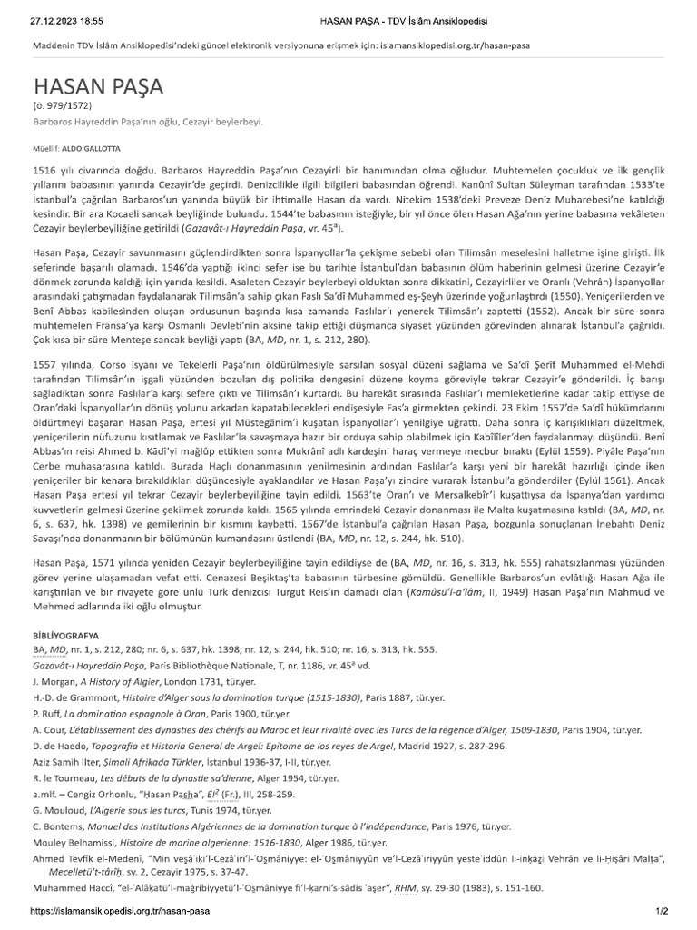Hasan Paşa | PDF