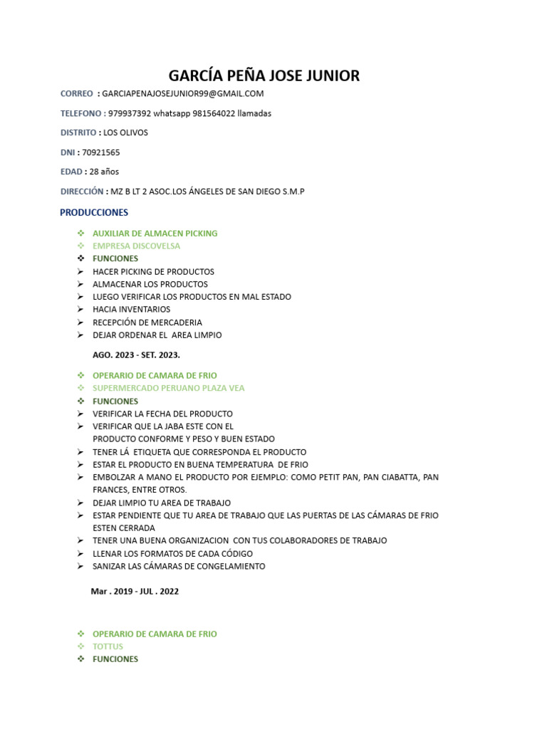 CV Junior Original 2023 Oficial | PDF