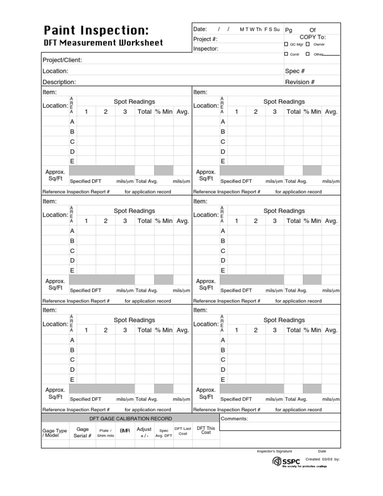 DFTmeasure Paint Inspection | PDF