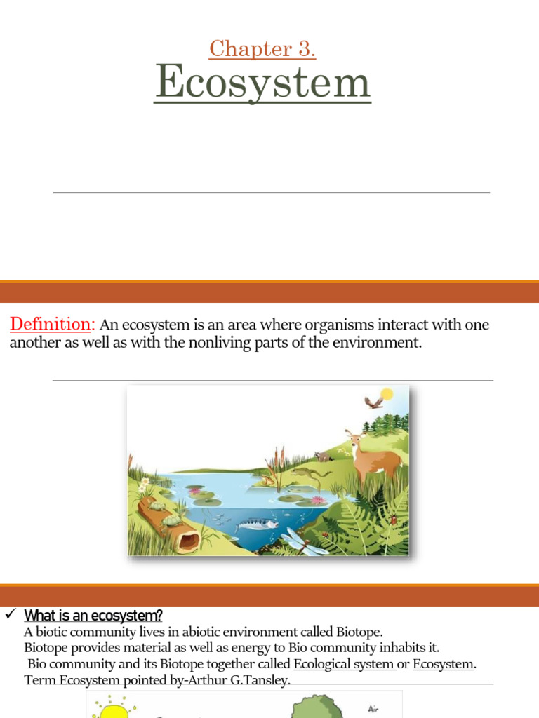 Chapter 3.ecosystem | PDF | Ecosystem | Herbivore