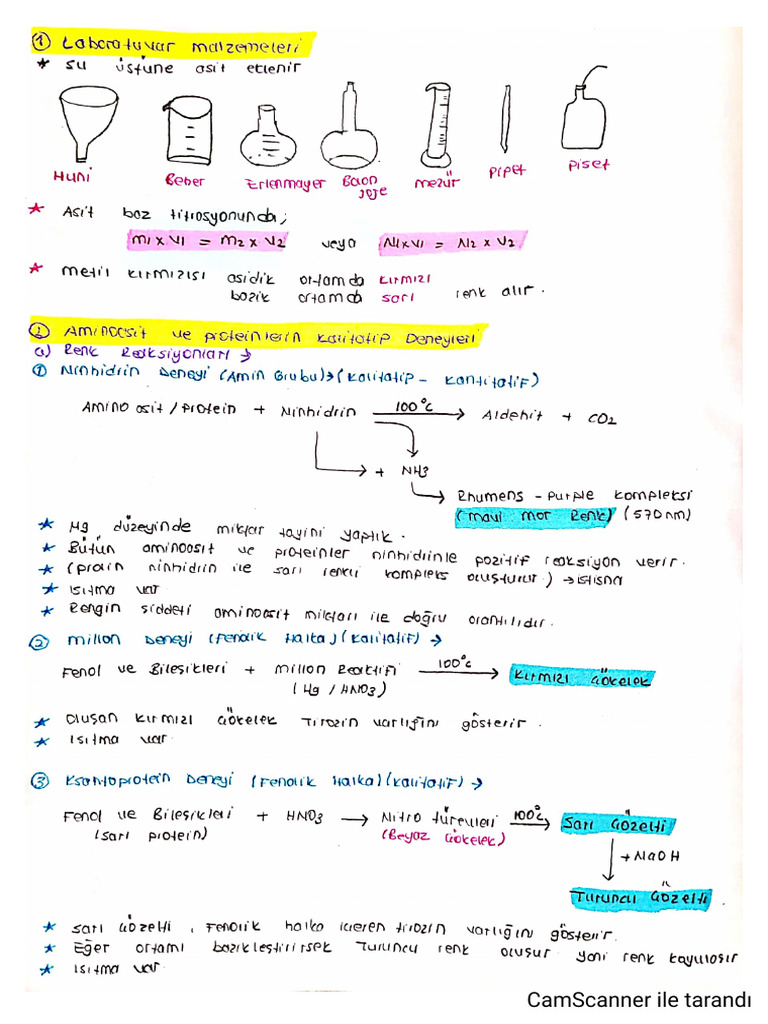 Biyokimya Pratik 1 | PDF