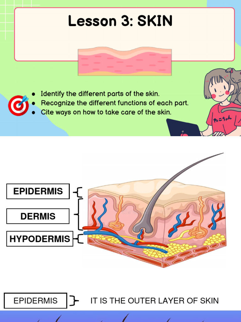 Lesson 3 - Skin | PDF