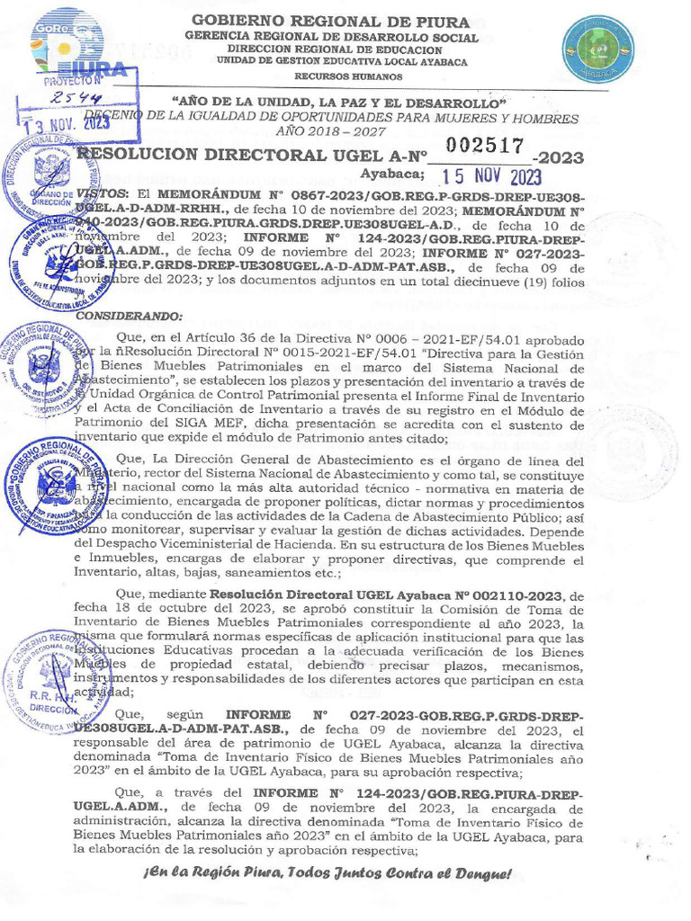 Directiva 012023 - Patrimonio | PDF
