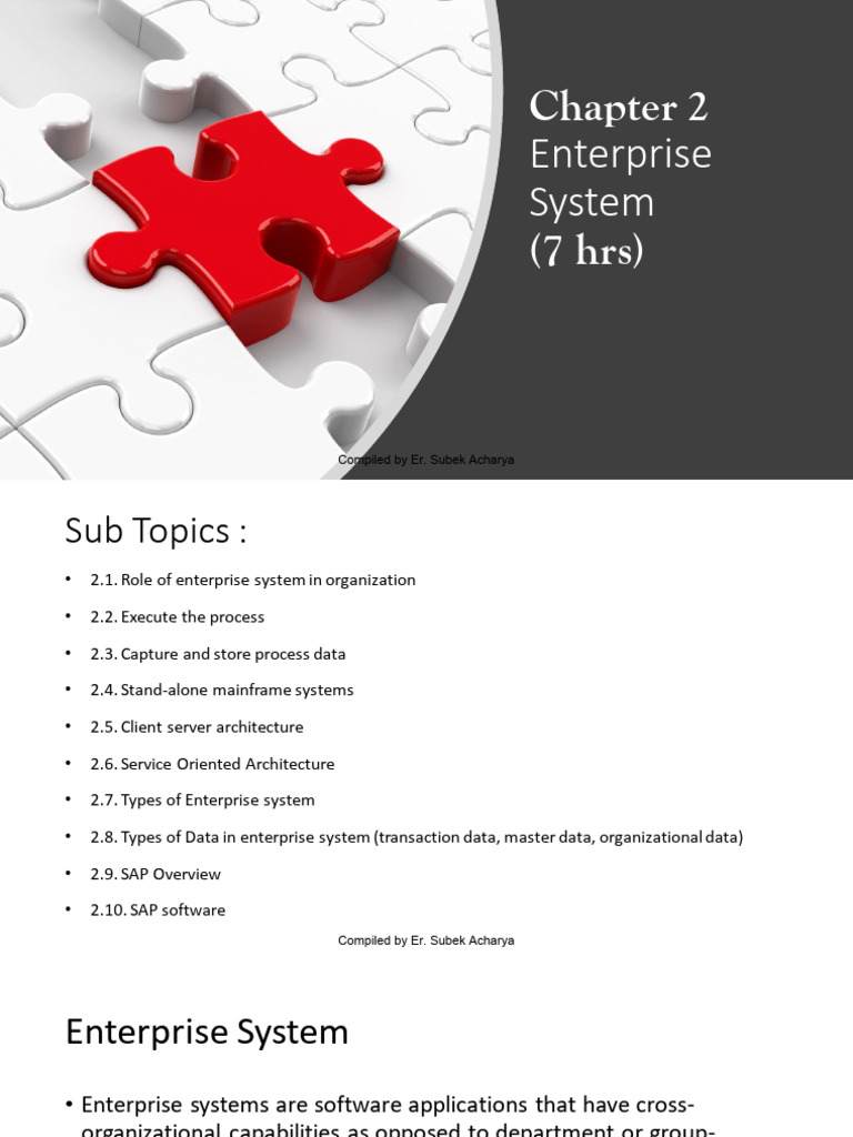 CH 2 Enterprise System | PDF