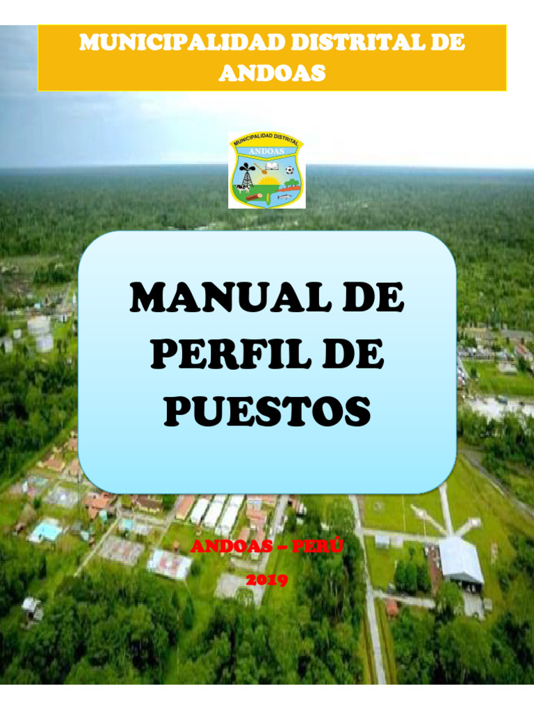 4.manual de Perfil de Puesto PDF | PDF