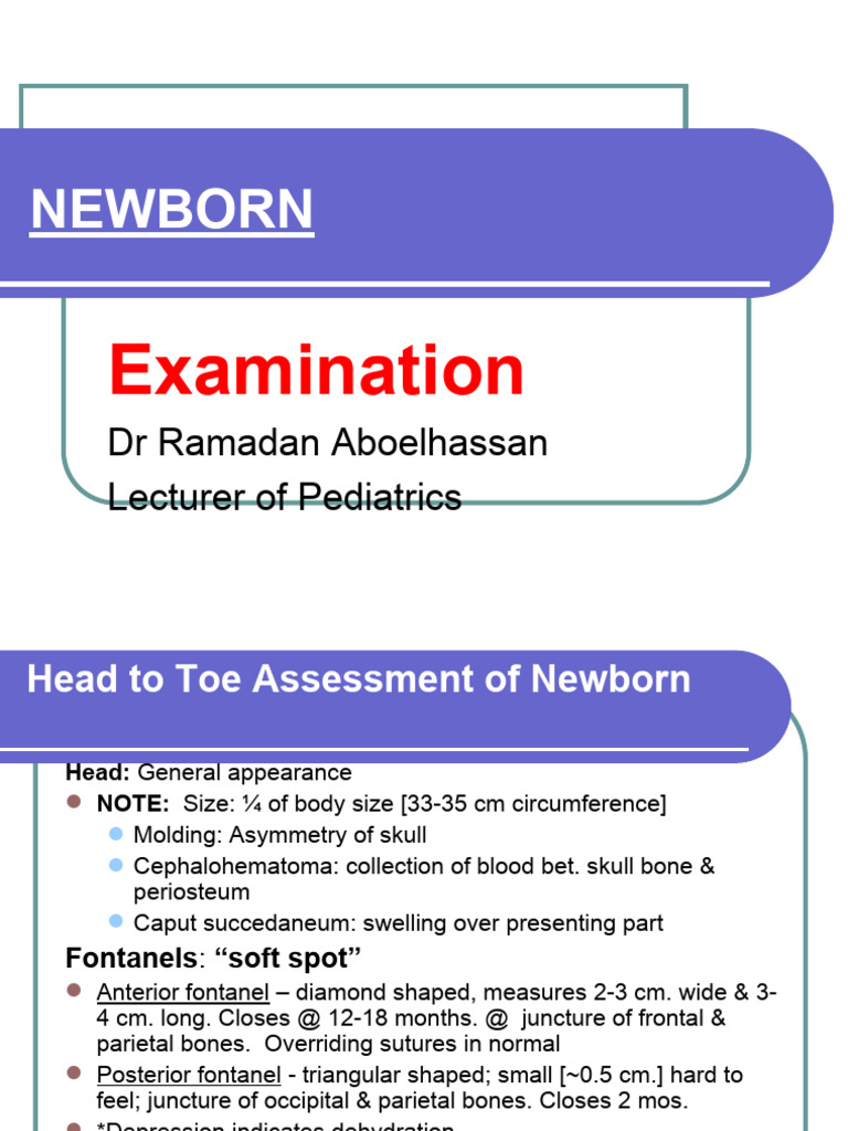 NEWBORN Examination | PDF | Labia | Human Nose