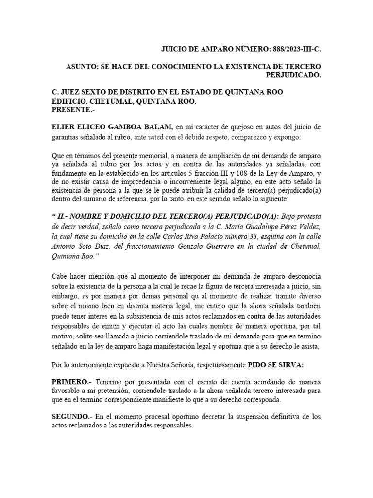 Ampliación Demanda Amparo Elier Señala Tecero Interesada | PDF