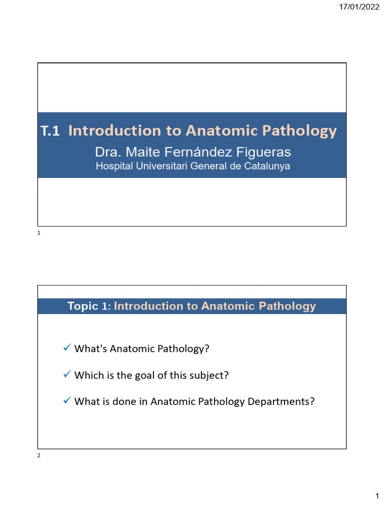 Introduction To Anatomic Pathology: Dra. Maite Fernández Figueras | PDF ...