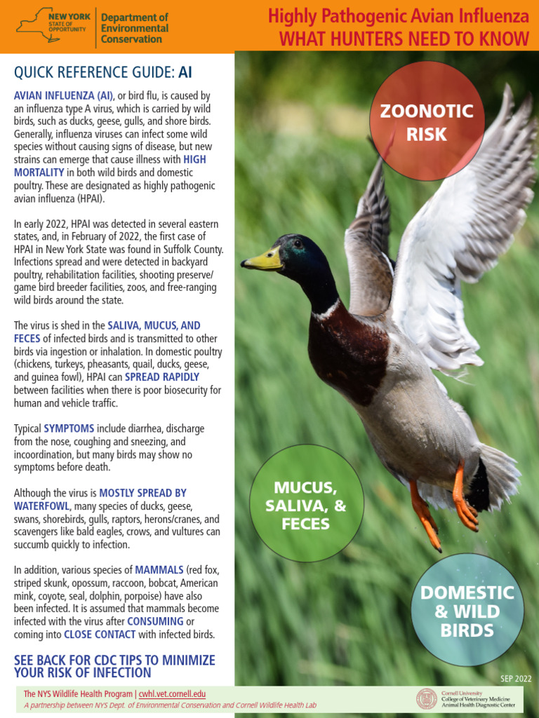 DEC Advisory On Avian Flu | PDF | Avian Influenza | Influenza