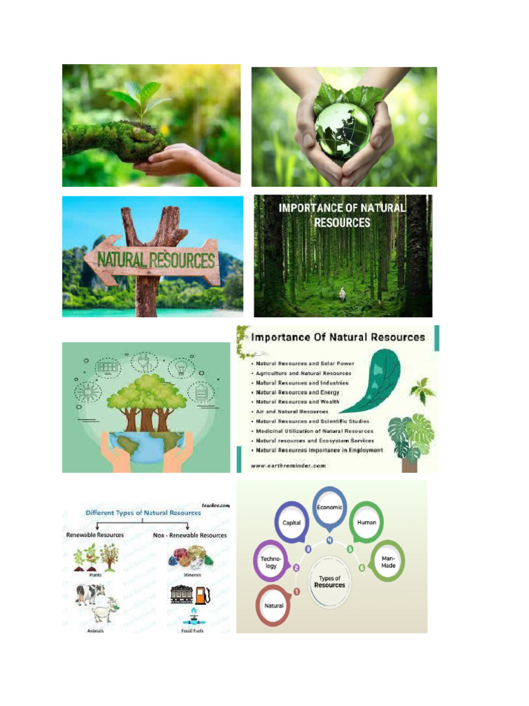 Bio Project | PDF