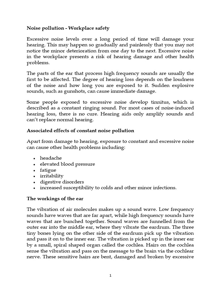 Noise Pollution - Workplace Safety | PDF | Hearing Loss | Ear