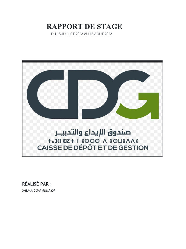 Rapport de Stage CDG | PDF | Droit