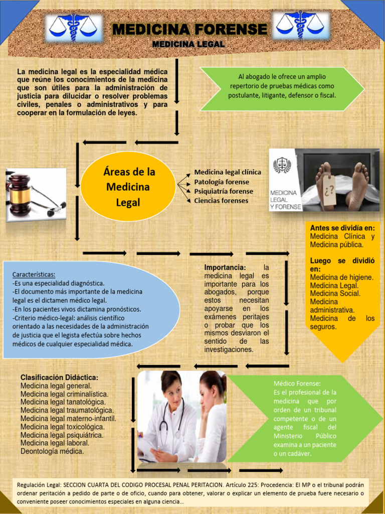 Infografía Medicina Forense | PDF
