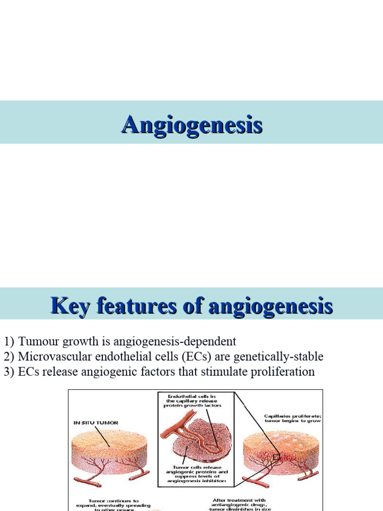 Angiogenesis and Metastasis | PDF