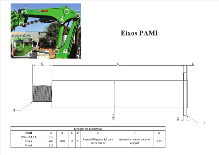 Eixos Pami | PDF