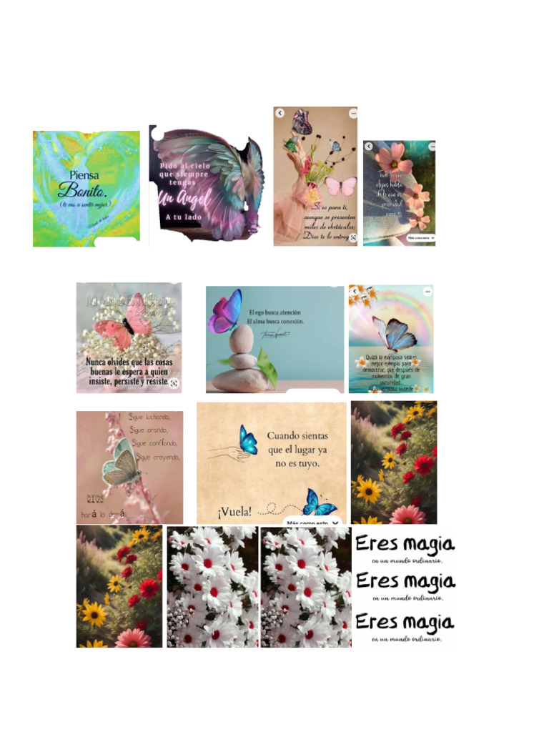 Notas Positivas | PDF