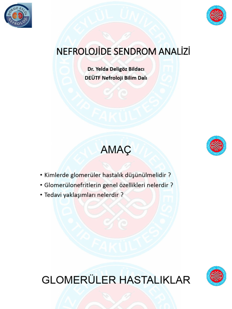 29-Nefrolojide Sendrom Analizi-Yelda Bildacı | PDF