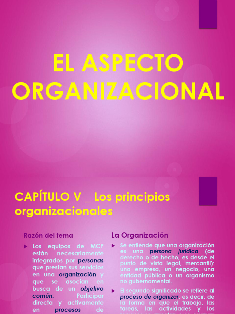 SEGUNDA PARTE Aspecto Organizacional | PDF