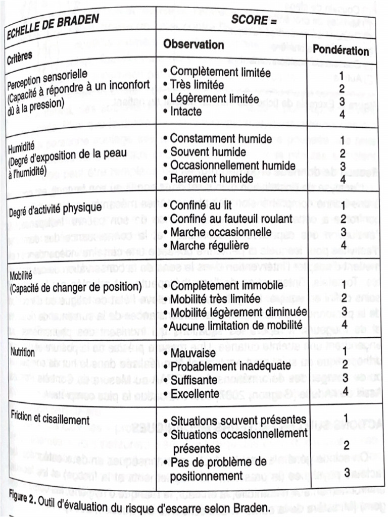 Braden | PDF