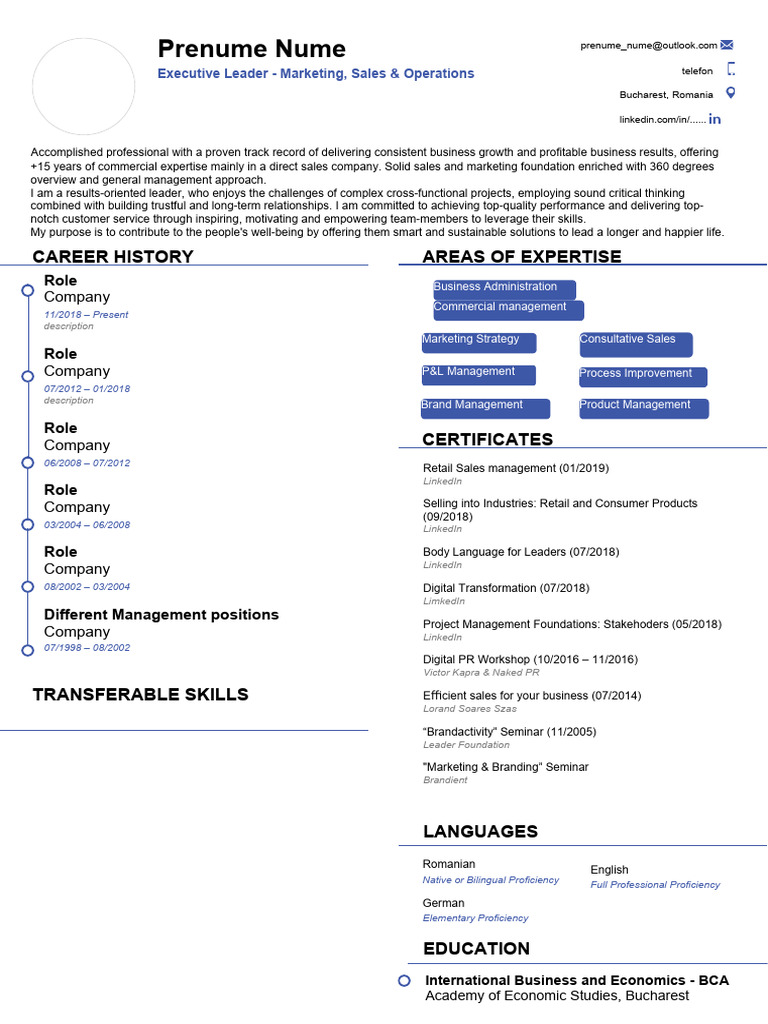 CV Model 4 | PDF | Sales | Marketing