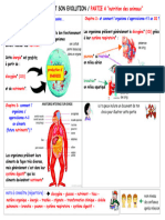 Score de Silverman | PDF | Nourrisson | Médecine clinique