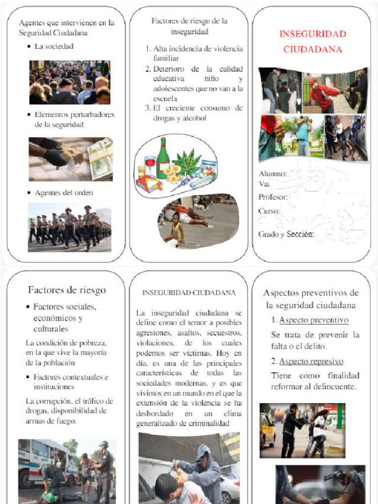 DPCC - Triptico | PDF