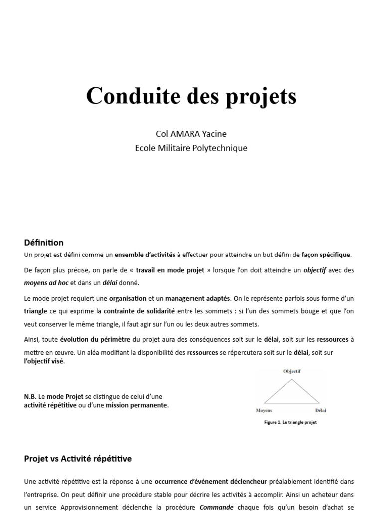 Conduite Des Projets | PDF