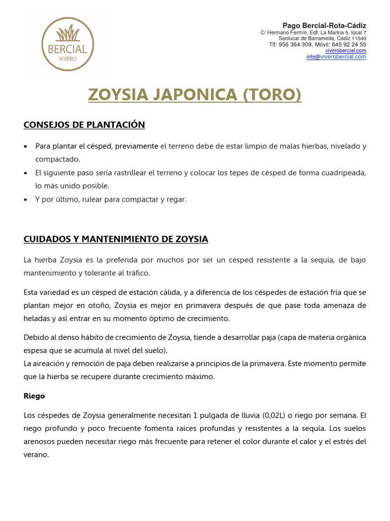 Guía de Cuidado para Césped Zoysia | PDF