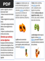 FRUTENZIMA: Usos y Beneficios Clínicos | PDF | Páncreas | Órgano (anatomía)