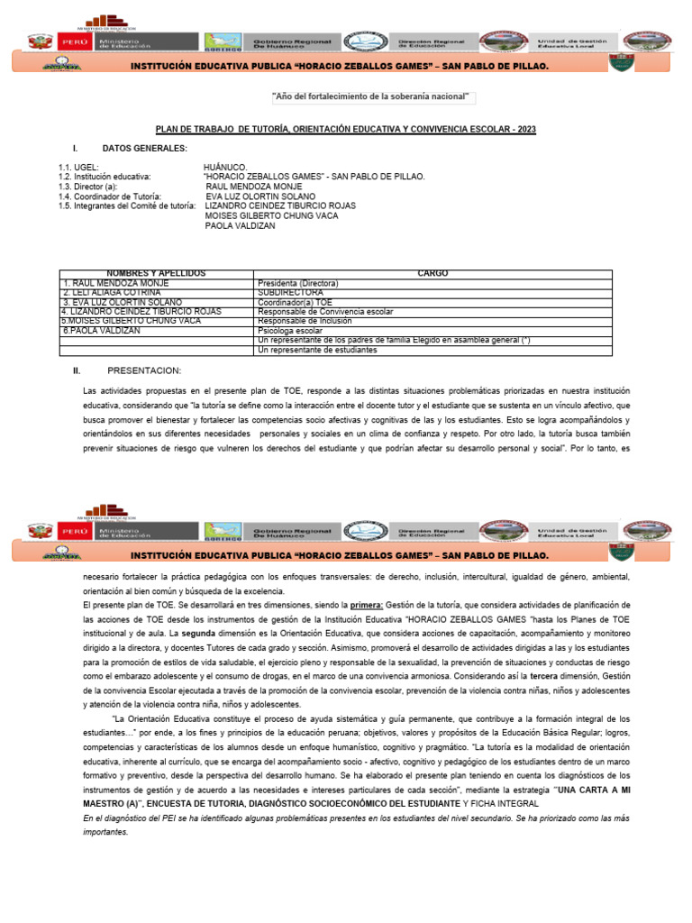 Plan Anual de Tutoria HZG - 2023 | PDF