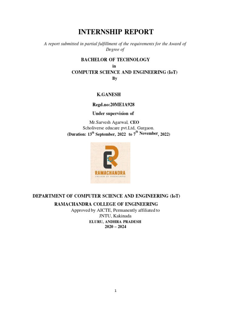 Internship Report: Web Development Skills | PDF