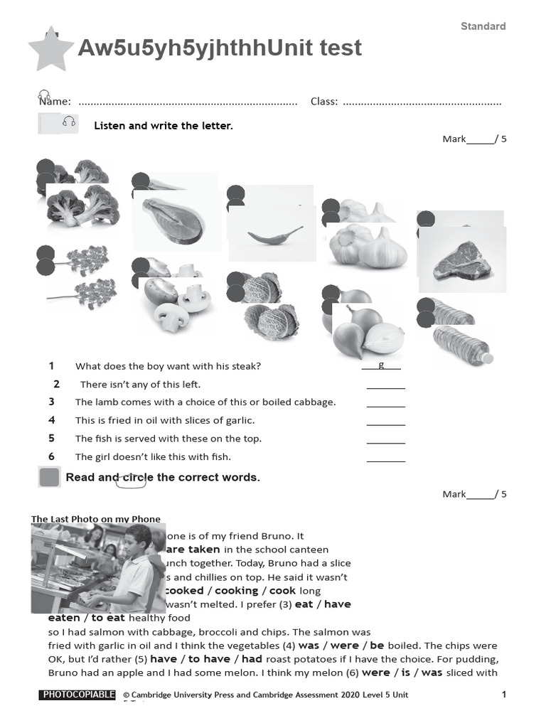 PEC L5 Unit 5 - Standard | PDF