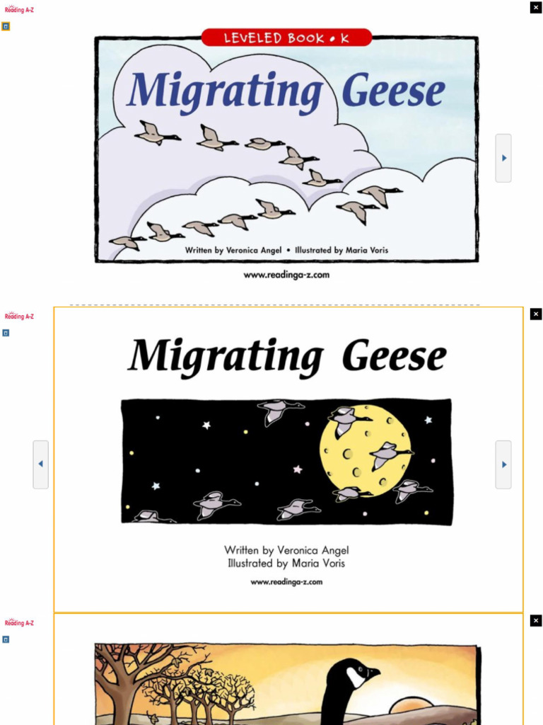 Migrating Geese | PDF