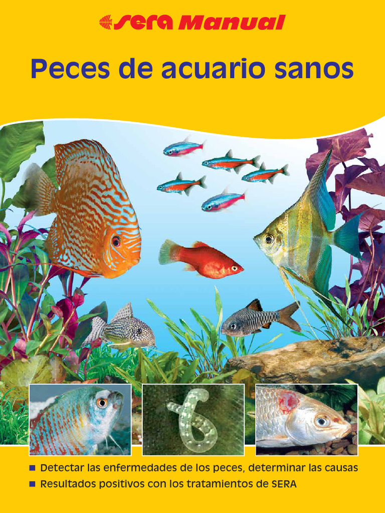 Peces de Acuario Sanos | PDF | Salud y bienestar