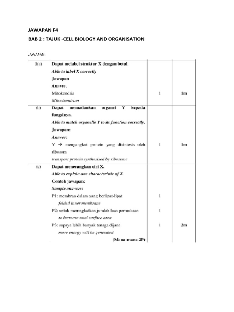 MODUL DD T4 2023 Only JAW | PDF