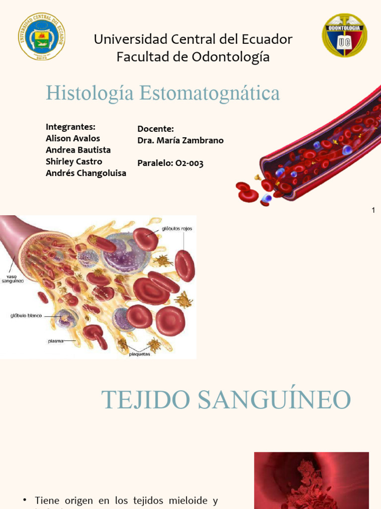 Tejido Sanguineo 2 | PDF | Sangre | Leucocito
