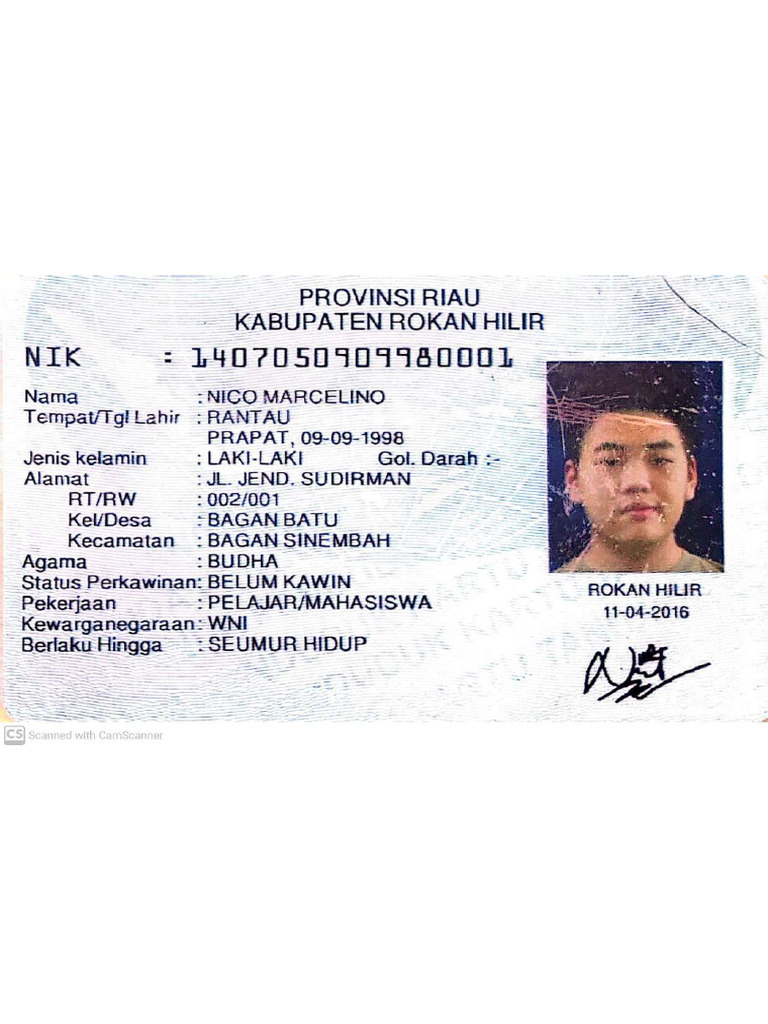 Nico Marcelino | PDF