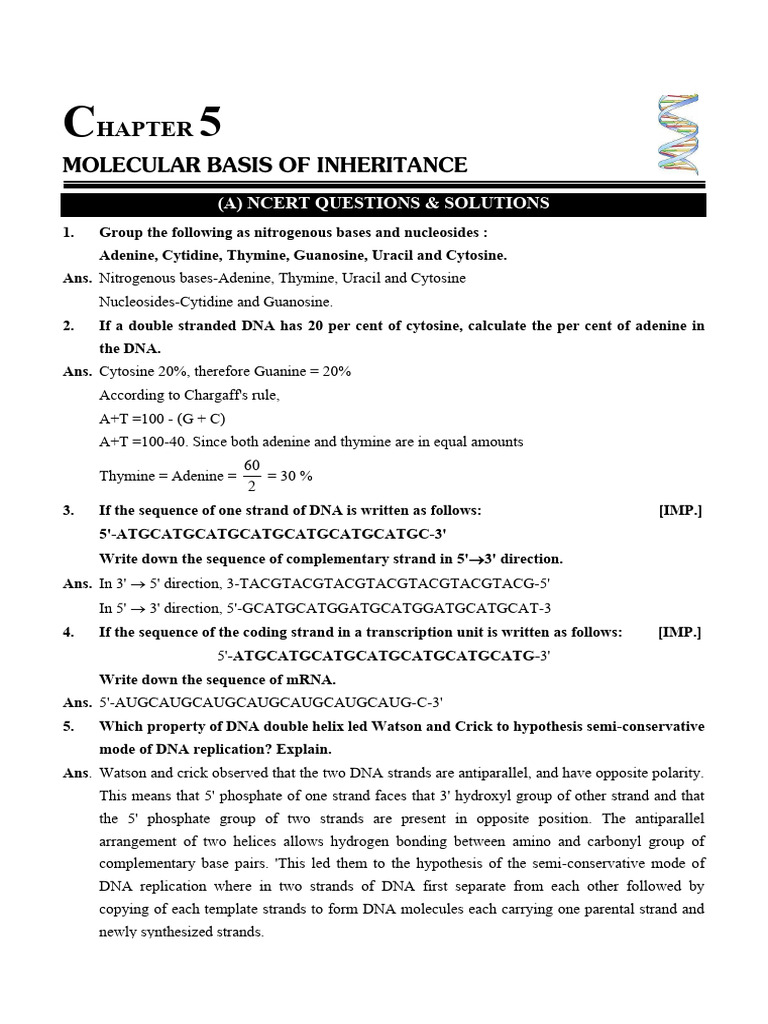 Molecular Basis of Inheritance | PDF | Operon | Dna Molecular Basis of Inheritance | PDF | Operon | Dna