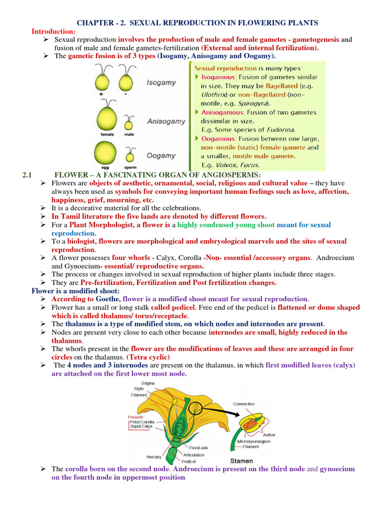 Chapter 2 Sexual Reproduction In Flowering Plants Pdf Flowers