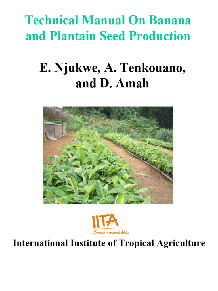 Banana and Plantain Seed Production Guide | PDF | Banana | Root