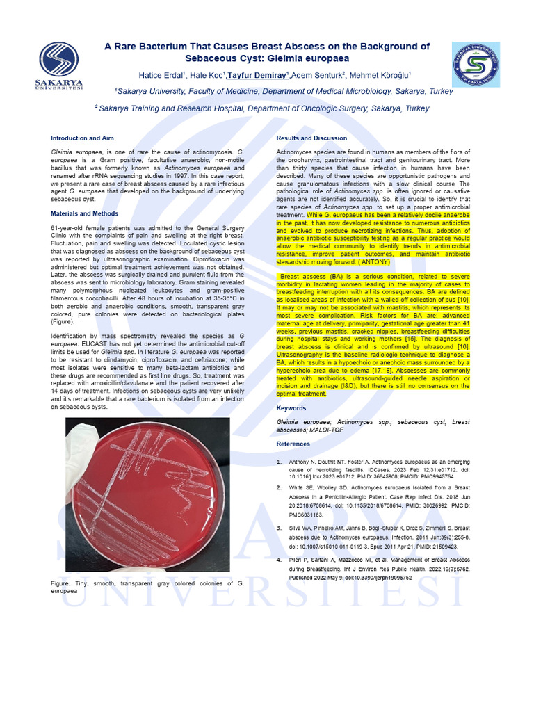 A Rare Bacterium That Causes Breast Abscess On The Background of ...