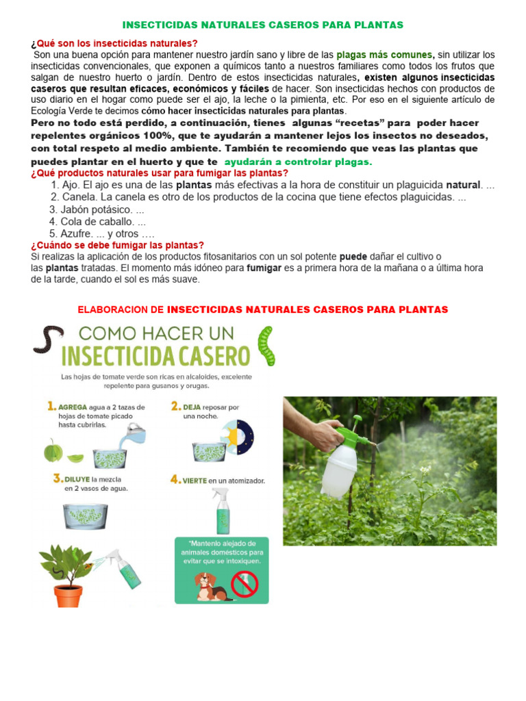 6° ELABORACION DE INSECTICIDAS | PDF | Pesticida | Insecticida