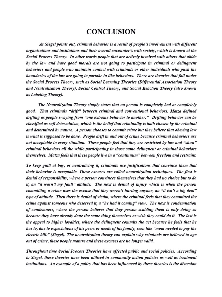 Social Process Theories in Criminal Justice | PDF