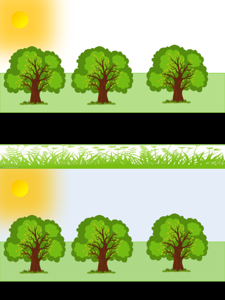 Extra Animation | PDF