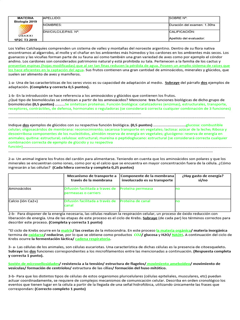 PRIMER PARCIAL T3 2C 2019 Con Respuestas | PDF | Biología Celular ...