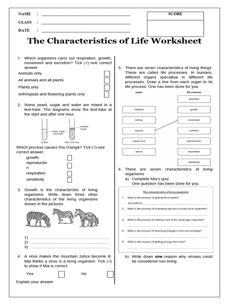 Living Things and Viruses Worksheet | PDF