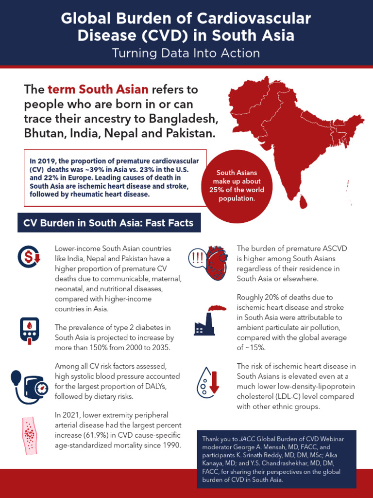 Global Burden Infographic South Asia | PDF