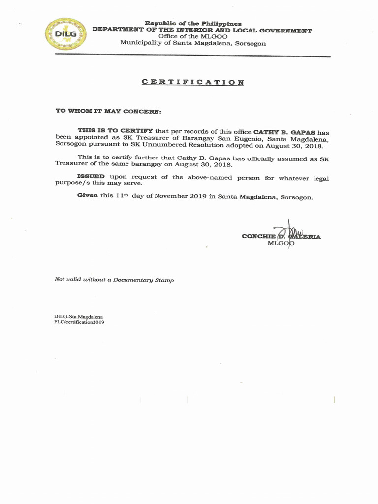 Dilg Certification SK | PDF